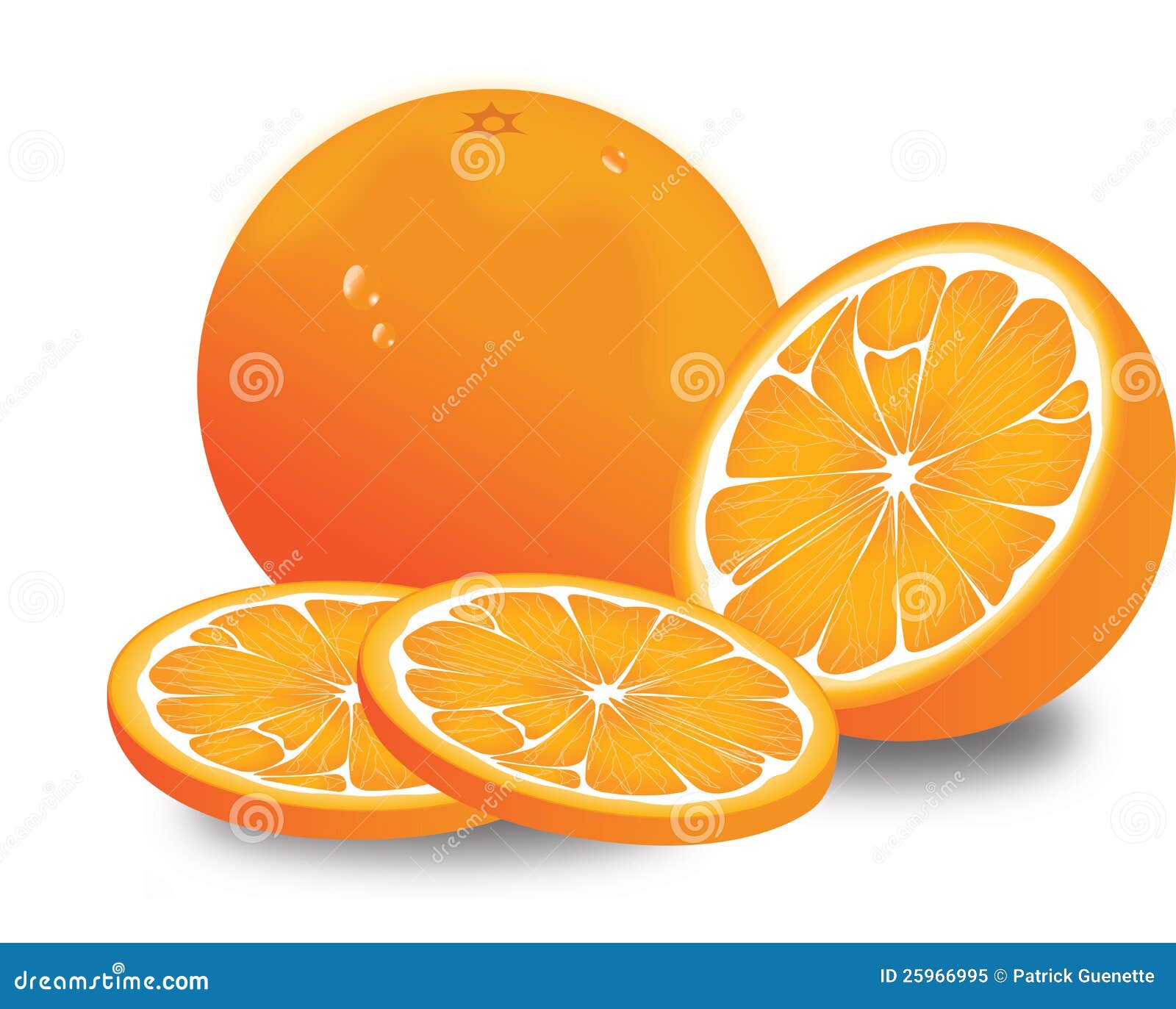 Orange, Illustration Cartoon Vector | CartoonDealer.com #25966995 Orange, Illustration Cartoon Vector | CartoonDealer.com #25966995