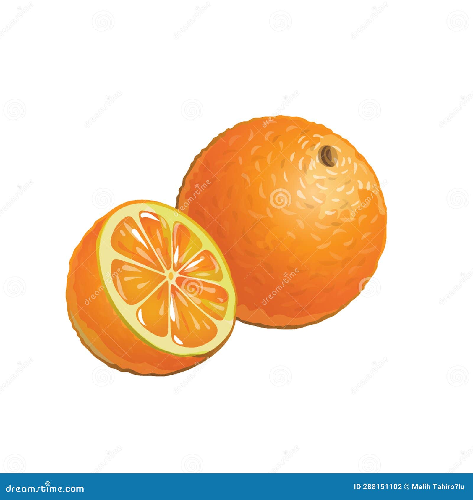Orange, Illustration, Isolated, White Background, Fruit Stock ...