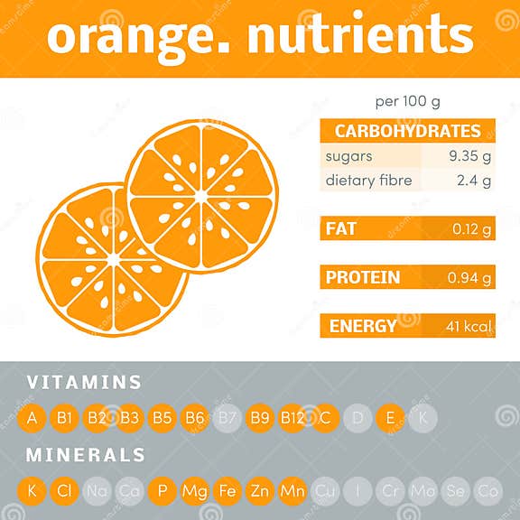 Orange infographic stock illustration. Illustration of culinary - 75210957