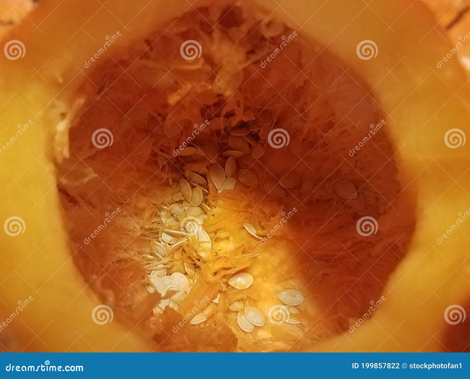 Orange Inside of a Pumpkin with Seeds Stock Photo - Image of interior ...