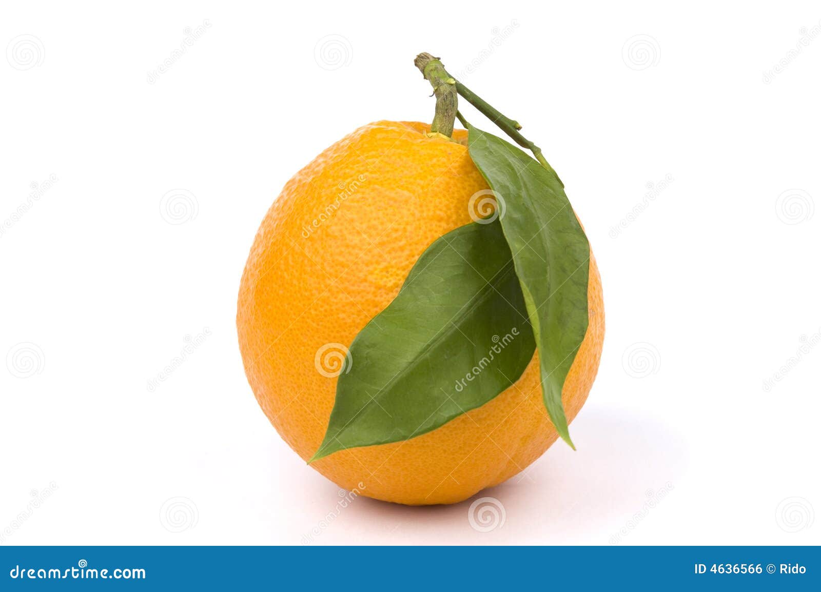 Orange isolated stock photo. Image of nutrition, single - 4636566