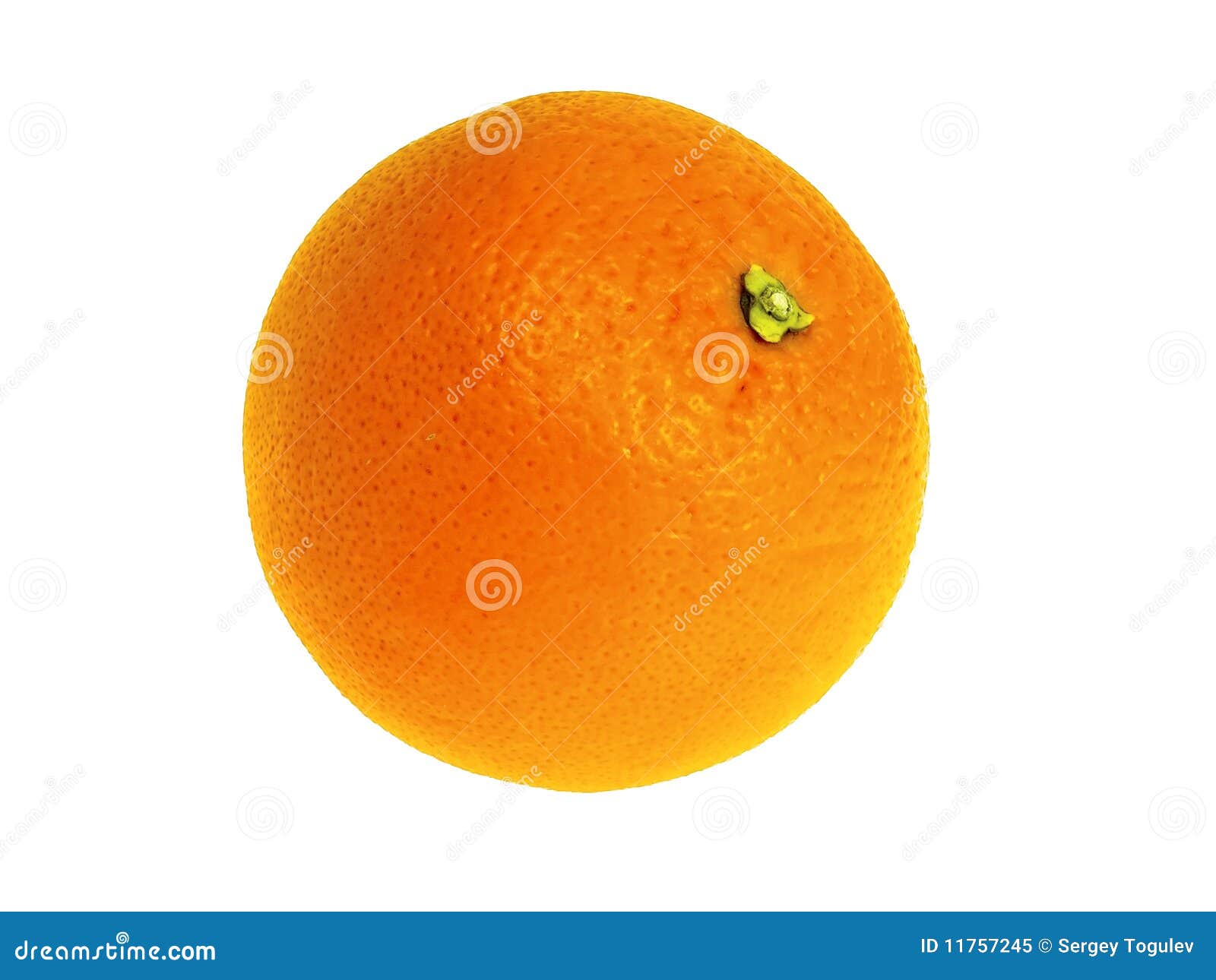 Orange. Isolated on white stock image. Image of comparing - 11757245