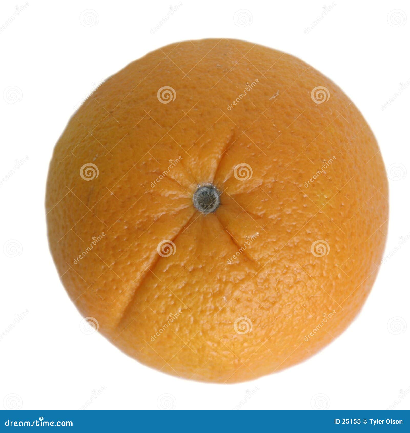 Orange Isolated on White stock image. Image of farm, florida - 25155