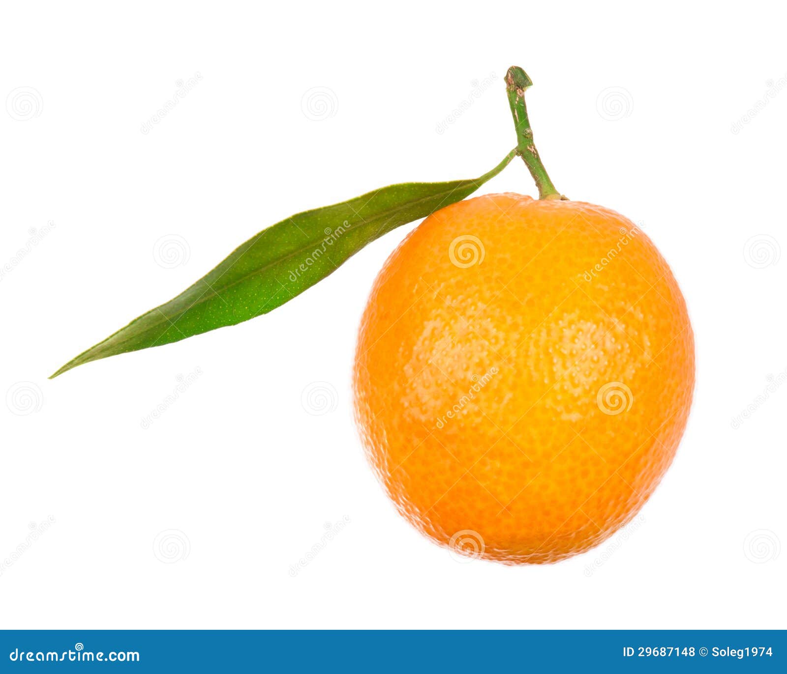 Orange isolated on white stock photo. Image of light - 29687148