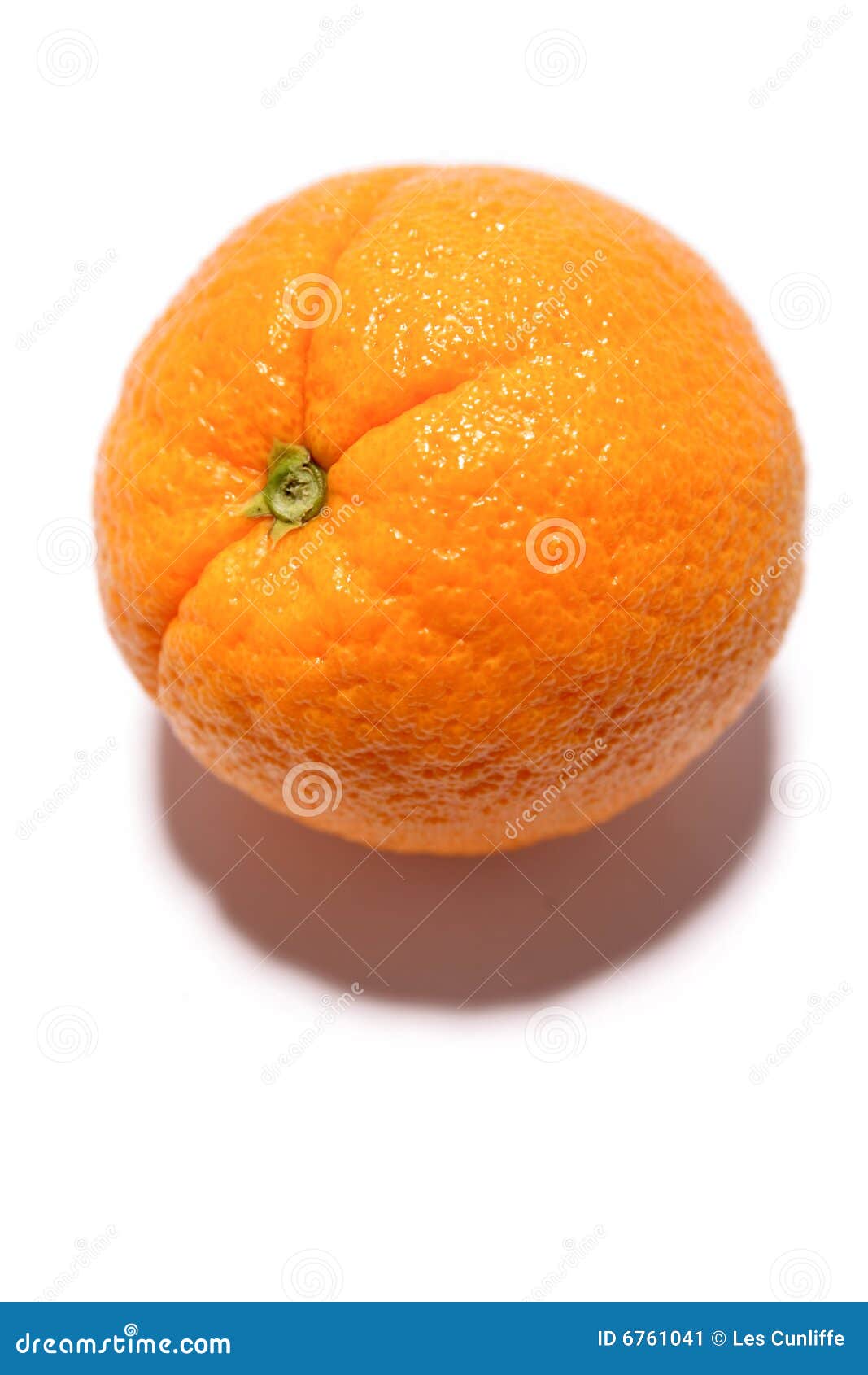 Orange isolated on white stock image. Image of food, round - 6761041