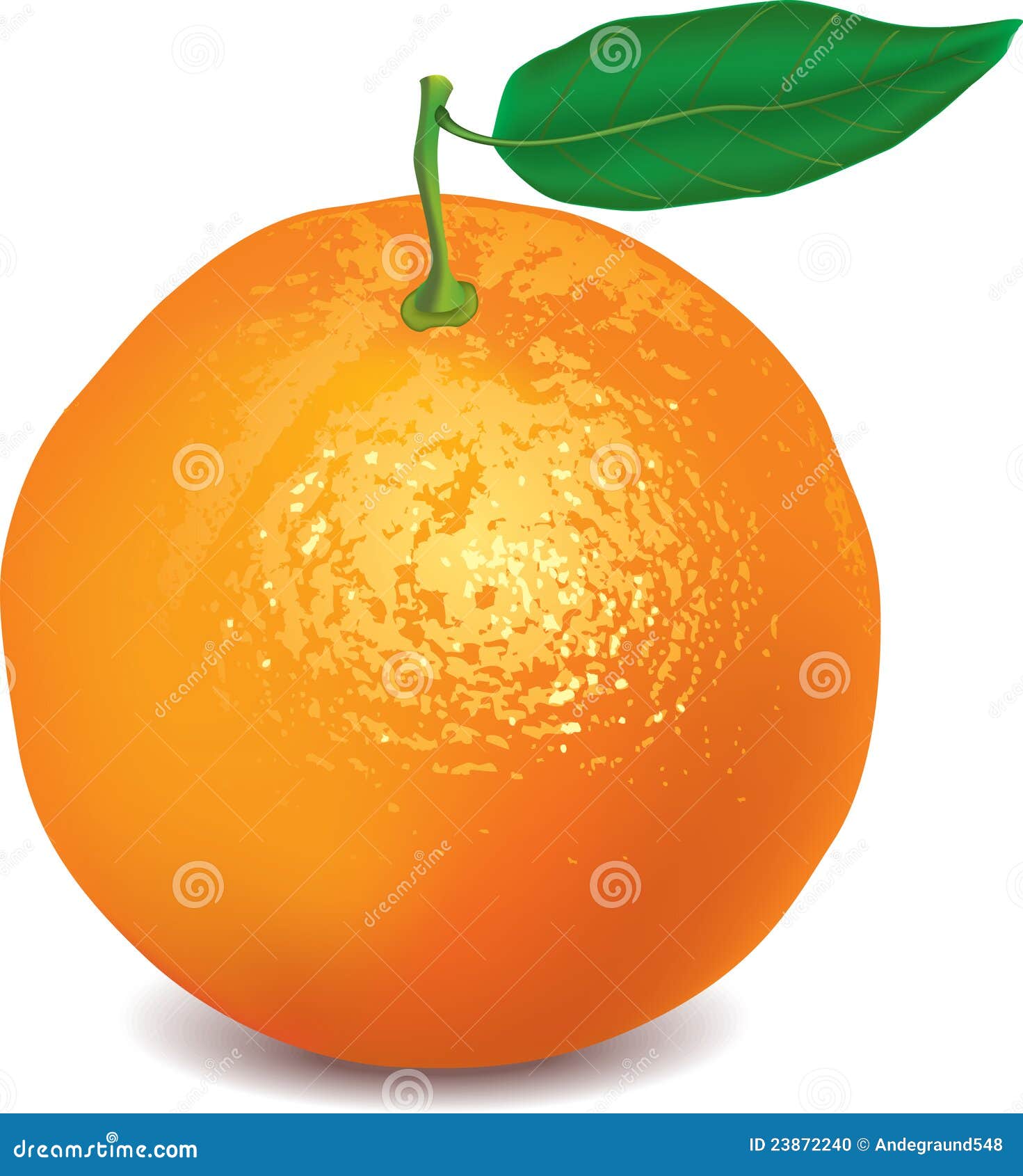 Orange Isolated on White Photo-realistic Stock Vector - Illustration of ...