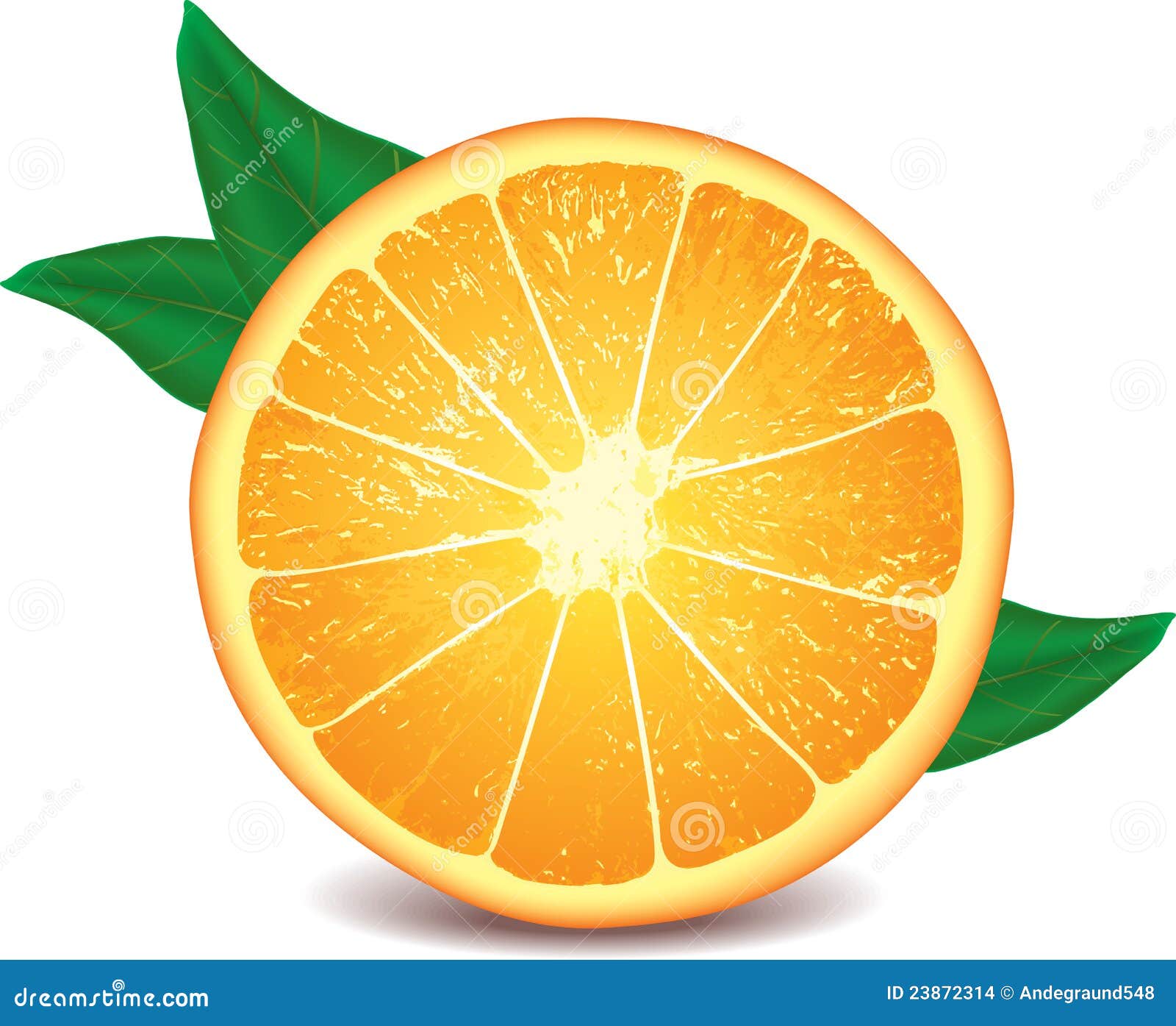Orange Isolated on White Photo-realistic Stock Vector - Illustration of ...