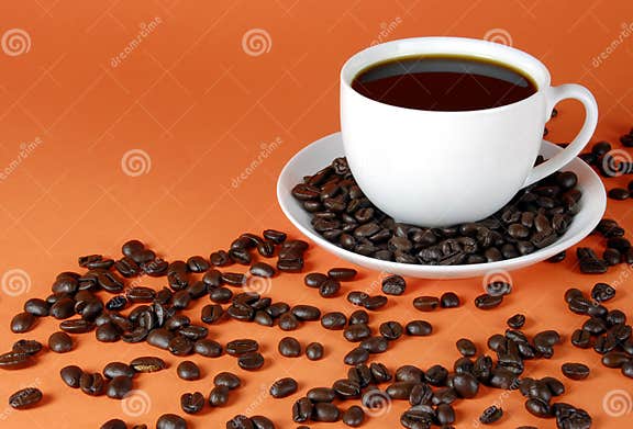 Orange Java stock photo. Image of java, house, roasted - 2270714