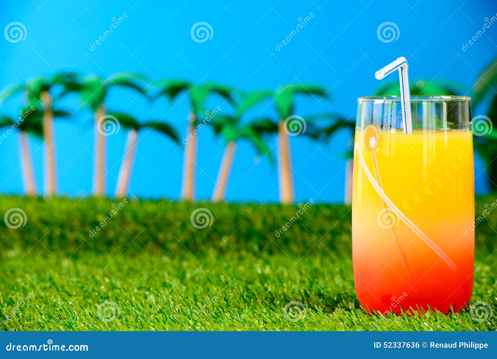 Orange Juice Cocktail with Palm Trees Stock Photo - Image of freshness ...