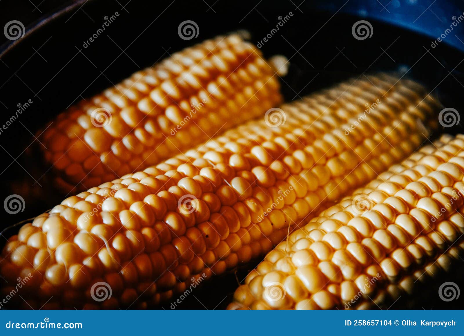 Orange Juicy Corn is Boiled in Water with Salt. Corn in Boiling Water ...