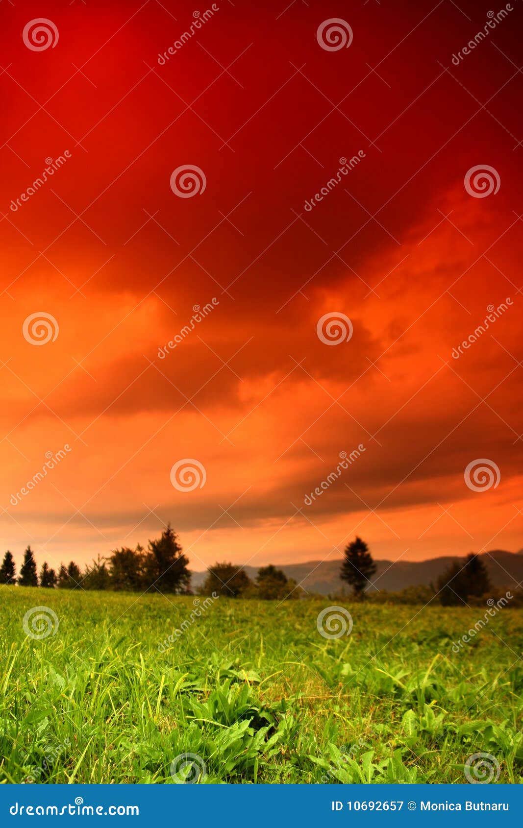 Orange landscape stock image. Image of tranquil, field - 10692657