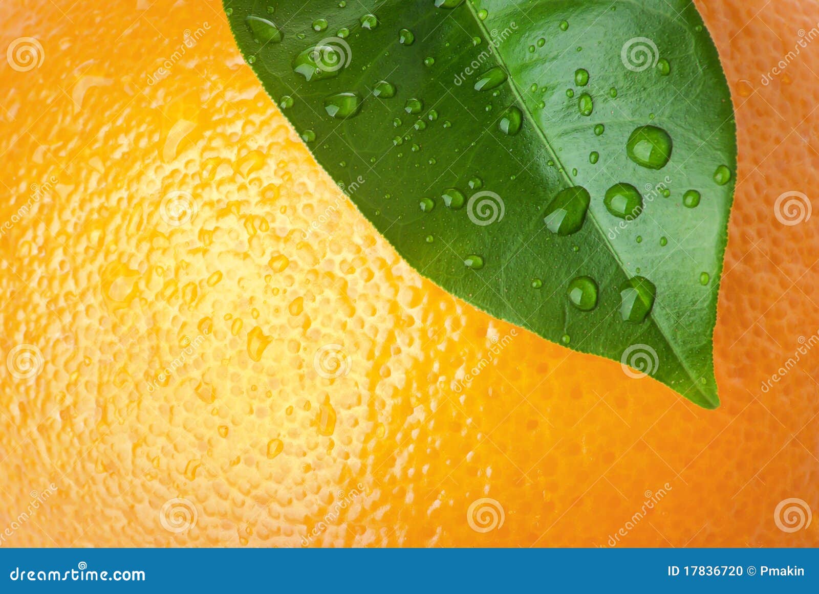 Orange and leaf stock photo. Image of citrus, color, natural - 17836720