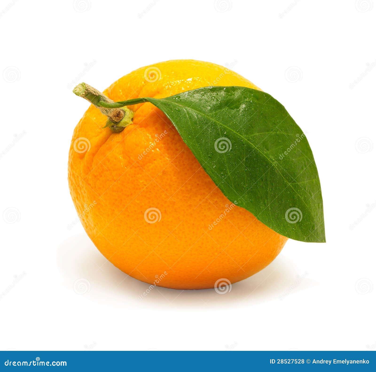 Orange with leaf. stock photo. Image of juicy, healthy - 28527528