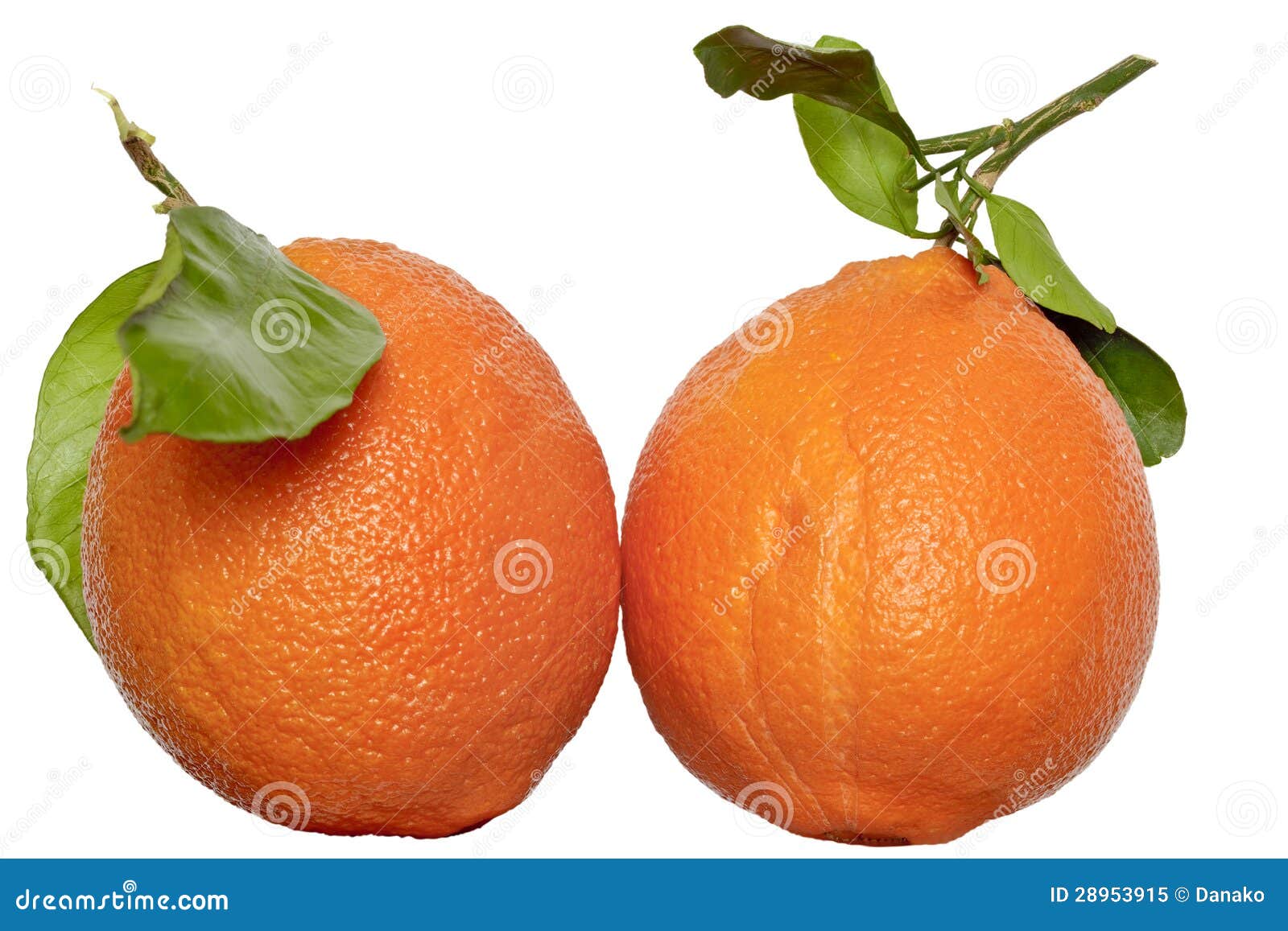 Orange with leaf stock image. Image of peel, green, leaf - 28953915