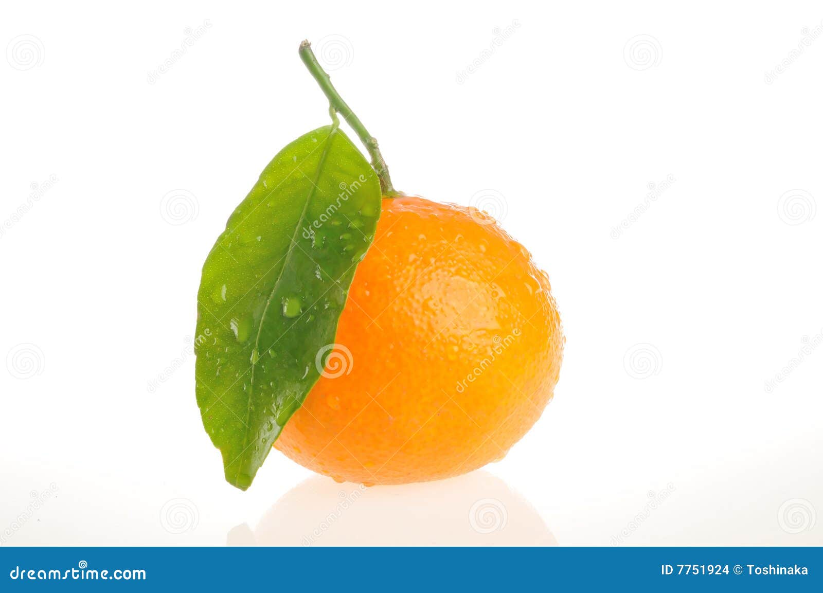 Orange with leaf stock photo. Image of leaf, freshness - 7751924