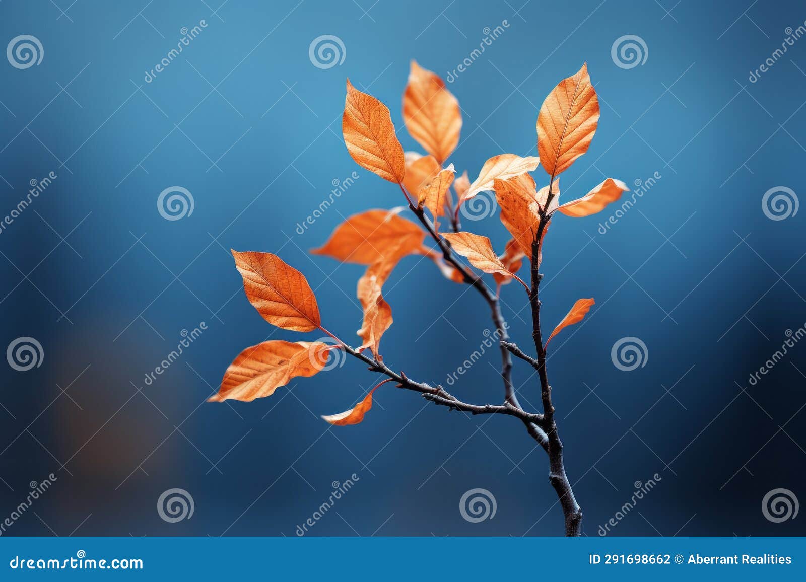 Orange Leaves on a Branch in Front of a Blue Background Stock ...
