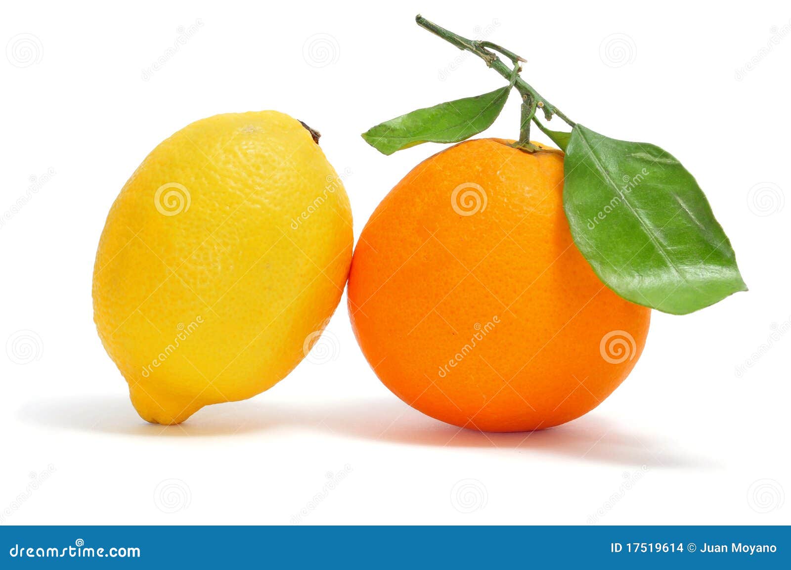 Orange and lemon stock photo. Image of citric, gourmet - 17519614