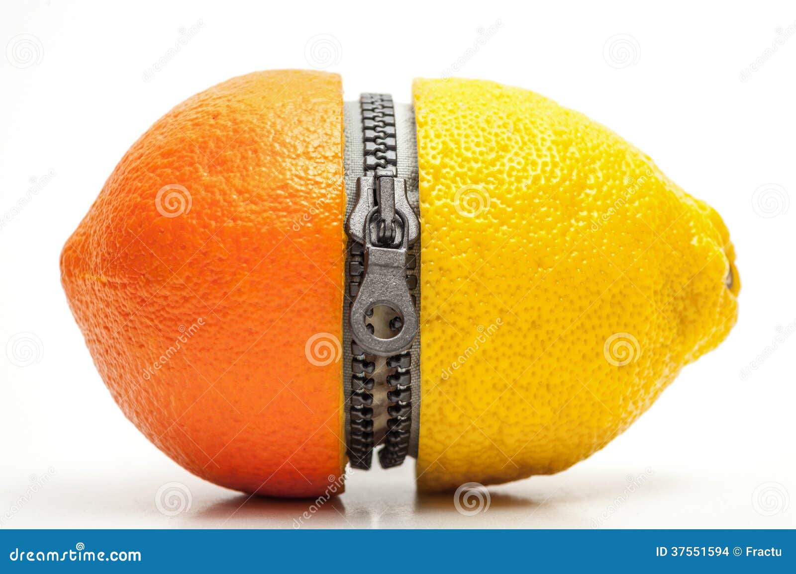Orange-lemon stock photo. Image of nature, divided, sweet - 37551594