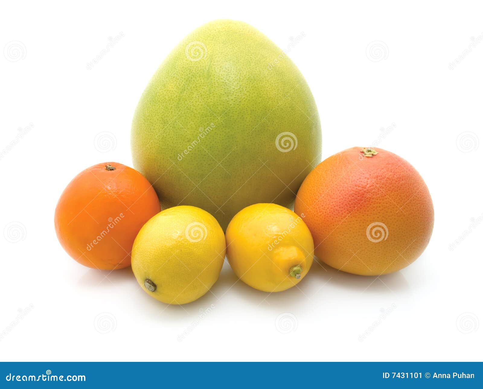 Orange, Lemon and Grapefruit Stock Image - Image of vegetable, organic ...