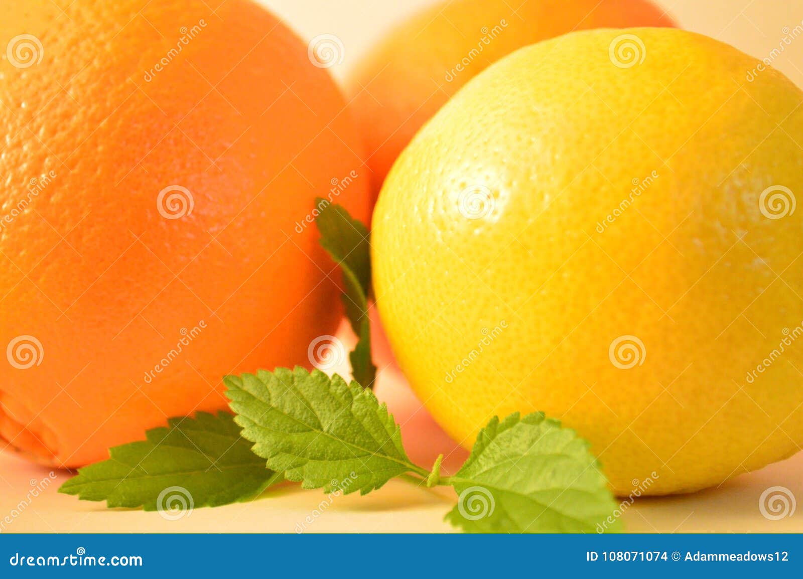 Orange and lemon stock photo. Image of background, spice - 108071074