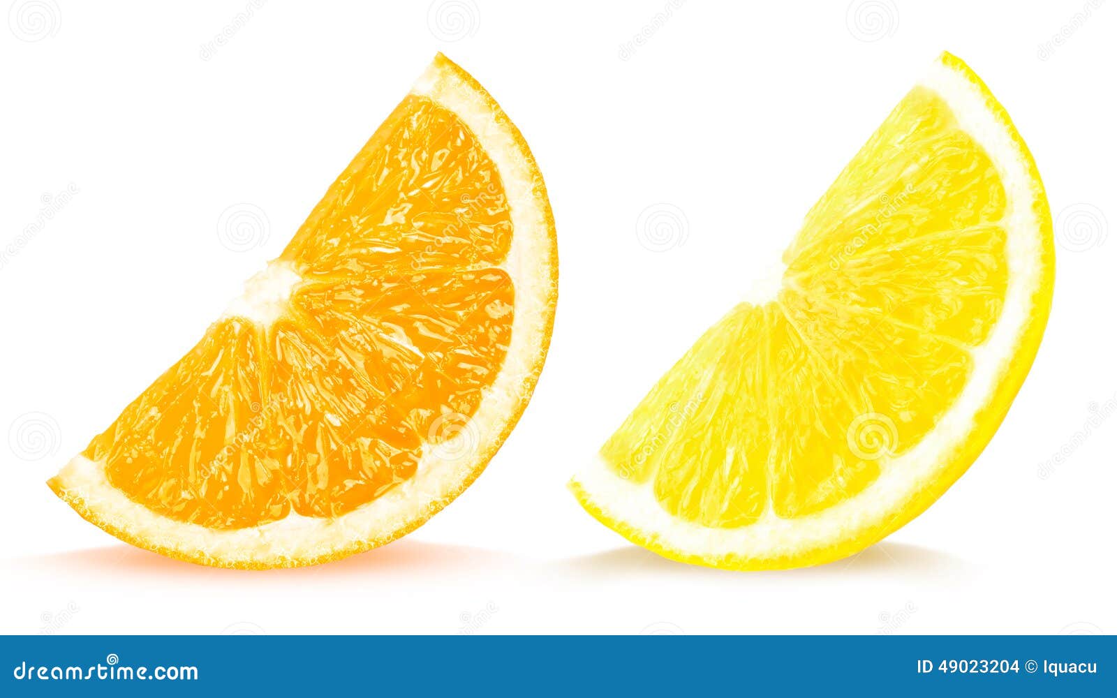 Orange and lemon stock photo. Image of vibrant, slice - 49023204