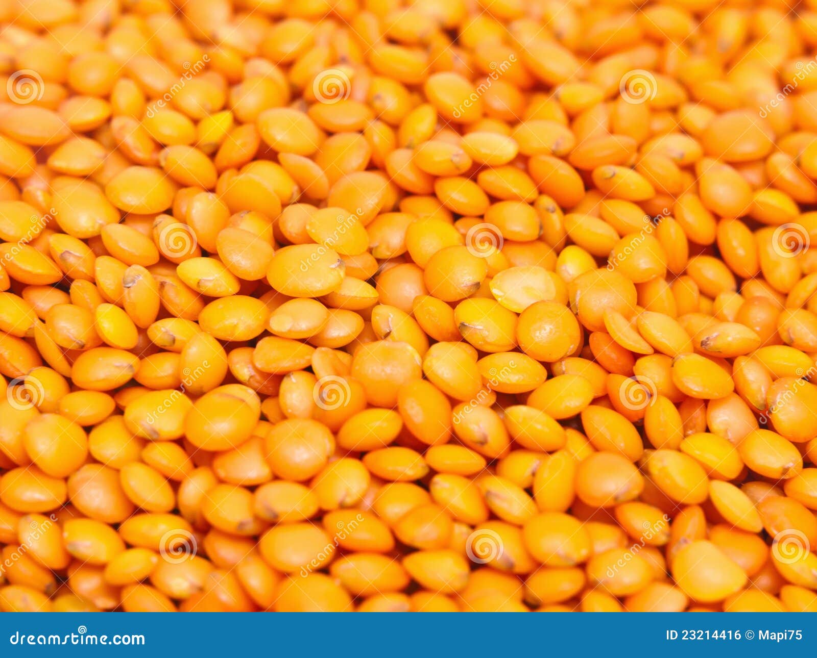Orange lentil stock illustration. Illustration of vegetable - 23214416