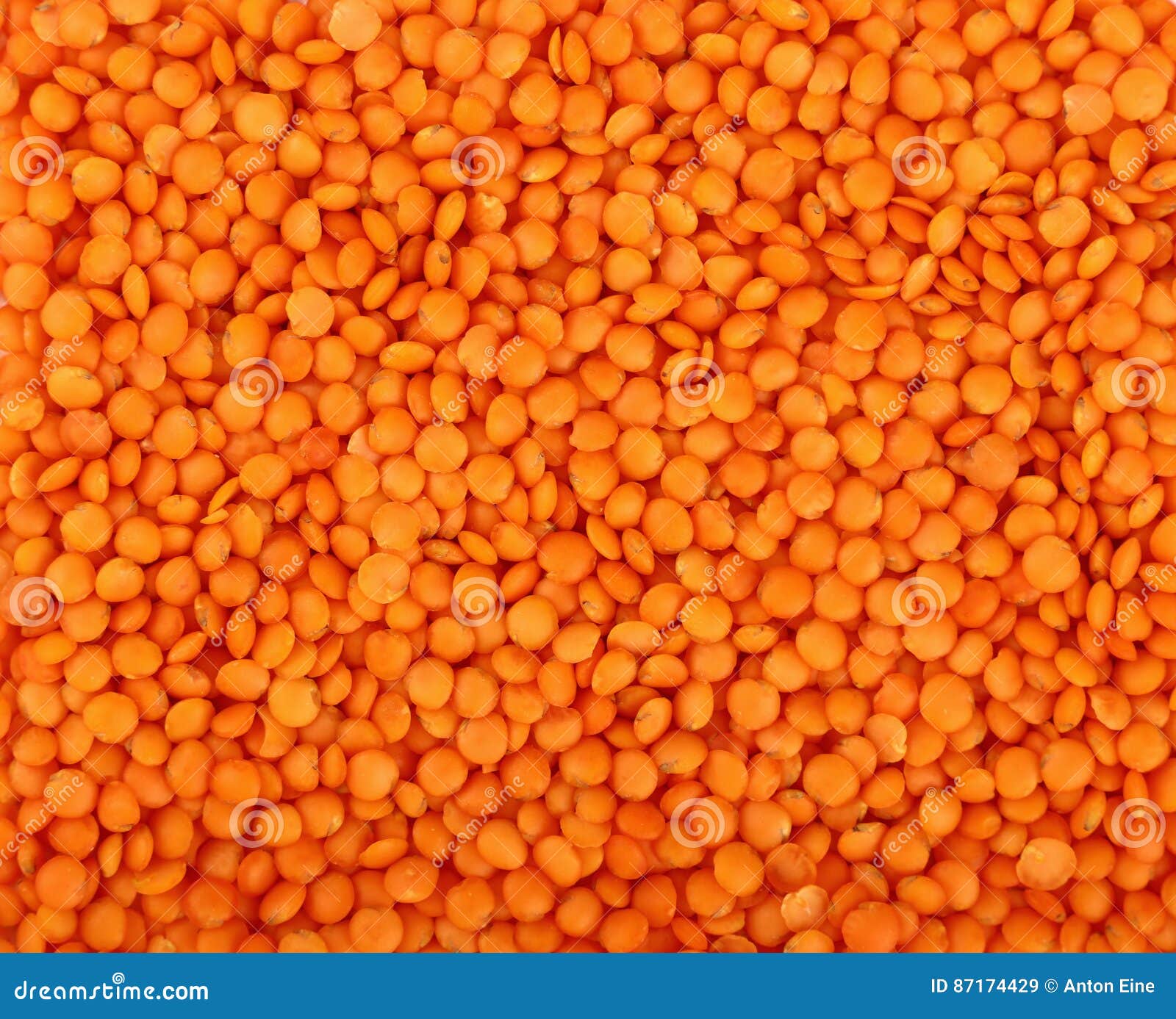 Orange Lentil Lens Close Up Background Stock Image - Image of nutrition ...