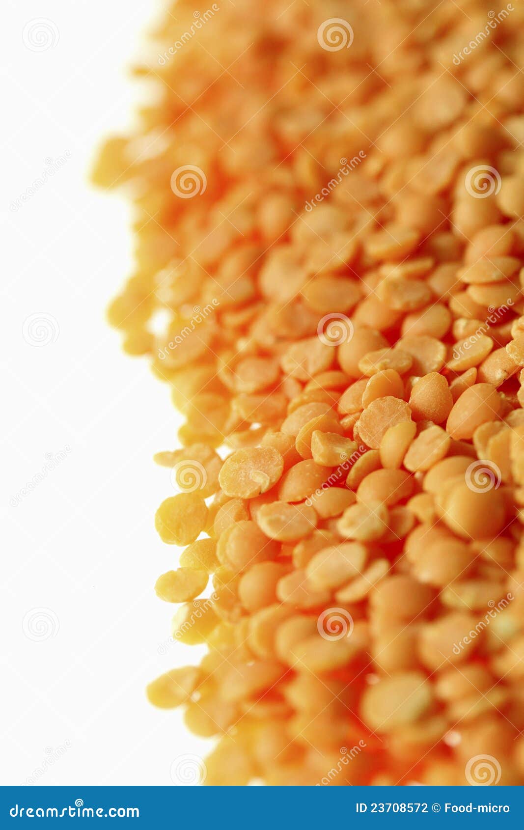 Orange lentils stock photo. Image of selective, ingredient - 23708572