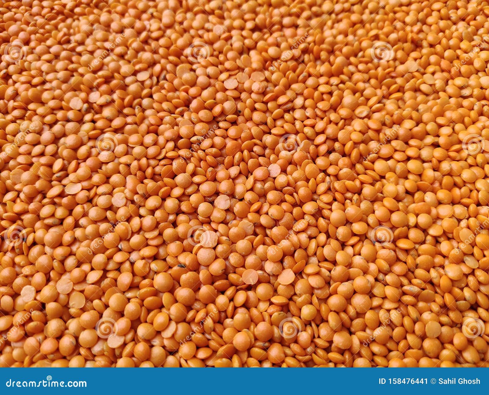 Masoor daal. stock image. Image of ingredient, cooking - 158476441