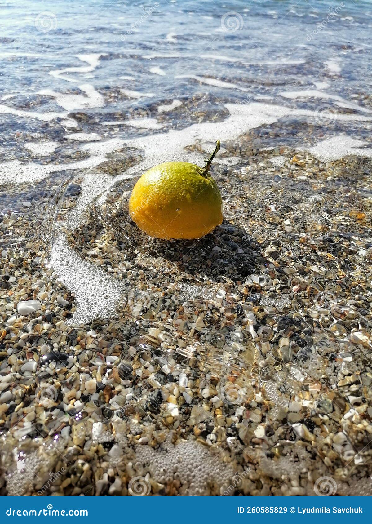 An Orange Lies on a Rocky Seashore Stock Image - Image of water, lies ...