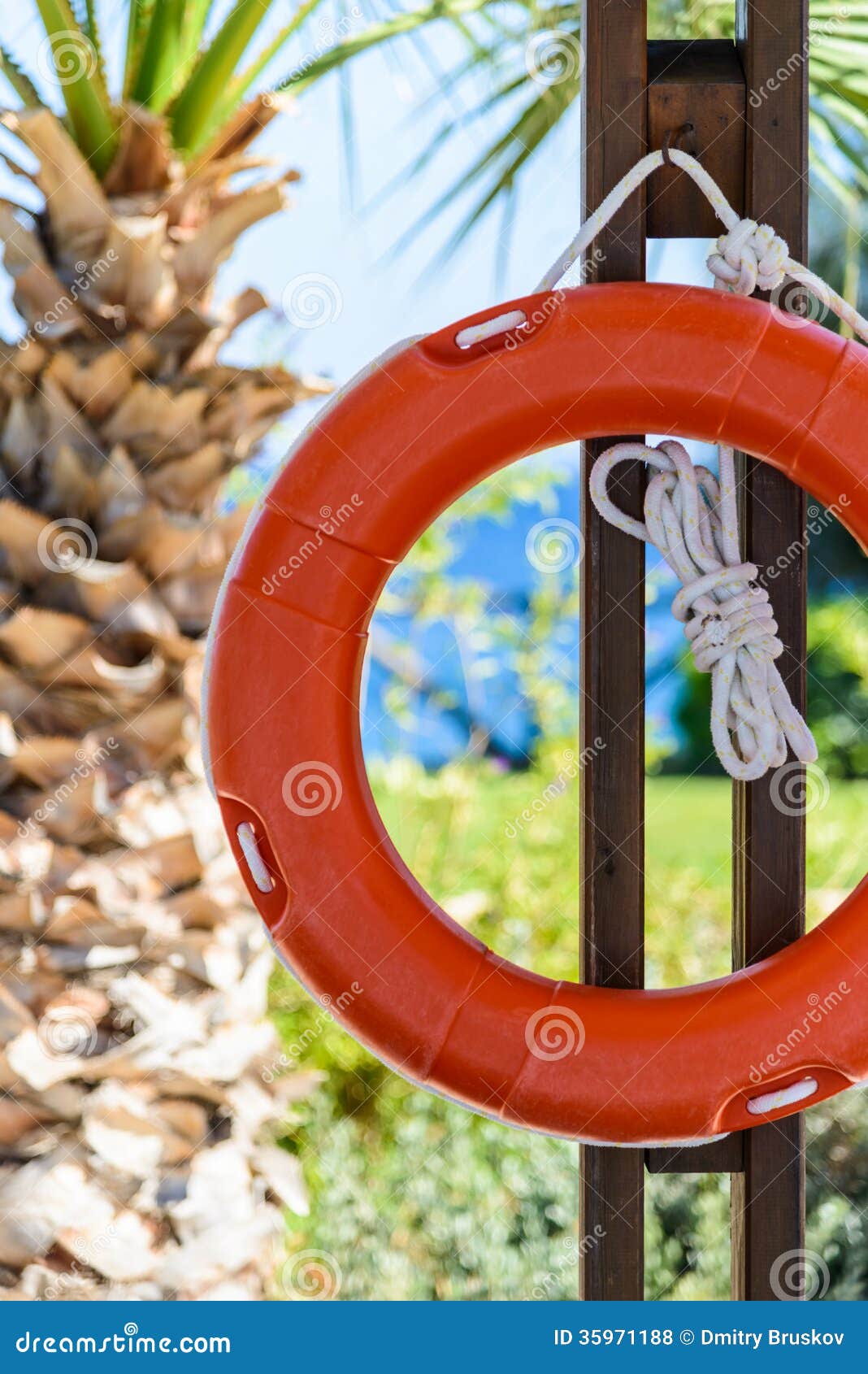 Orange Life Buoy with Rope Hanging Around the Pool Stock Photo - Image ...