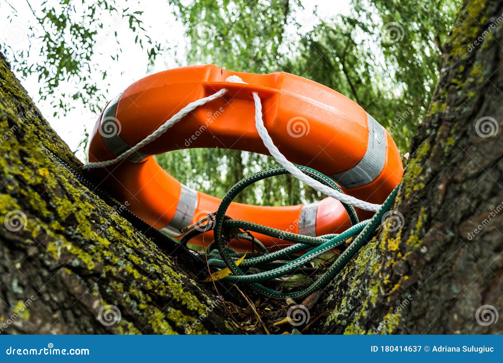 Lifebuoy Ring stock image. Image of protection, float - 180414637