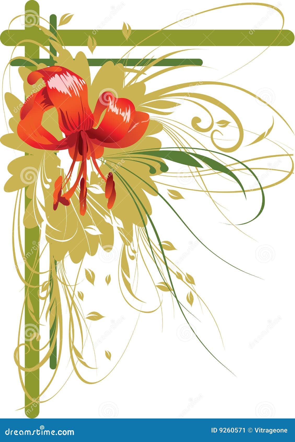 Orange lily stock vector. Illustration of border, beautiful - 9260571
