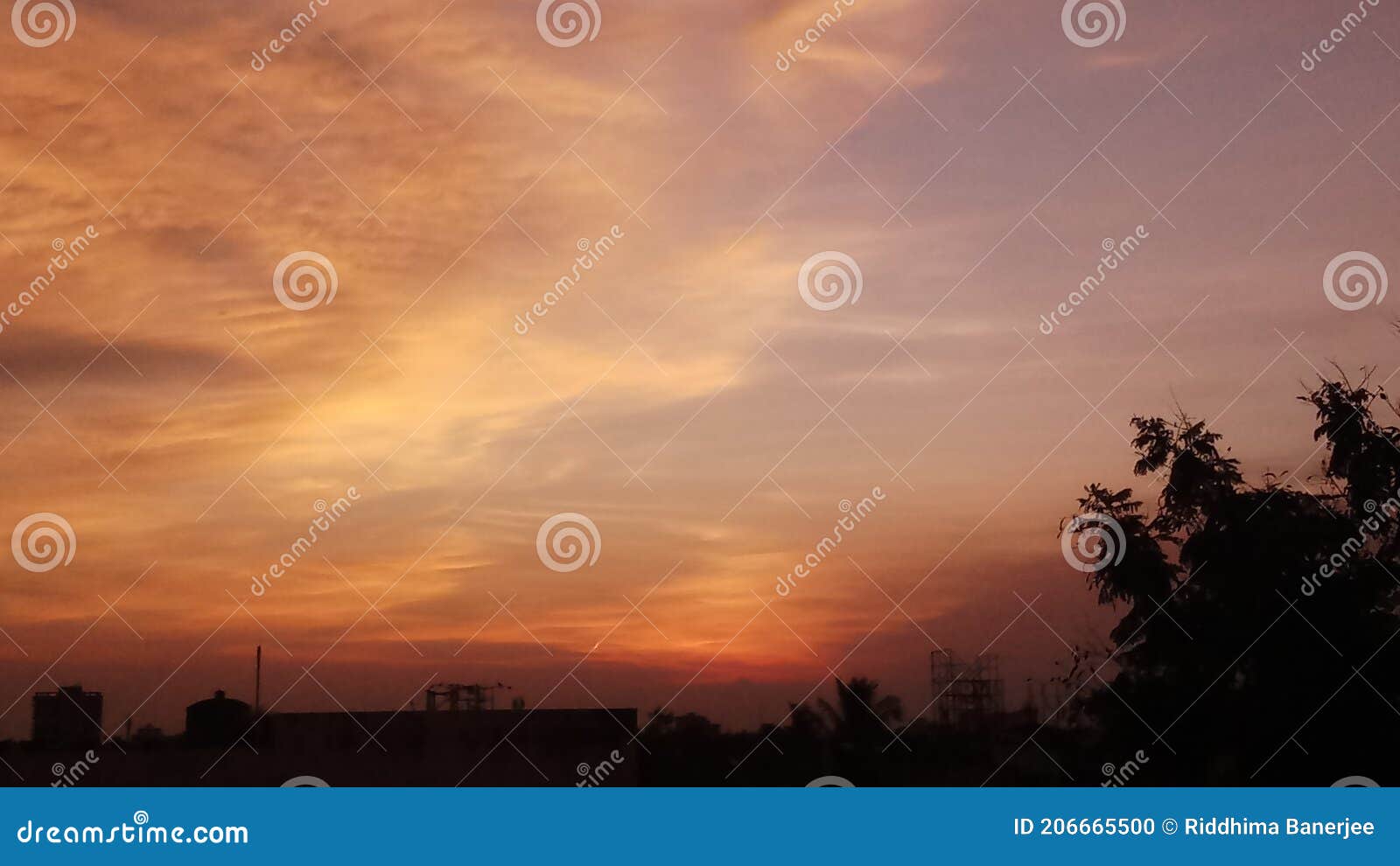 Orange Lit Dusky stock photo. Image of tree, morning - 206665500
