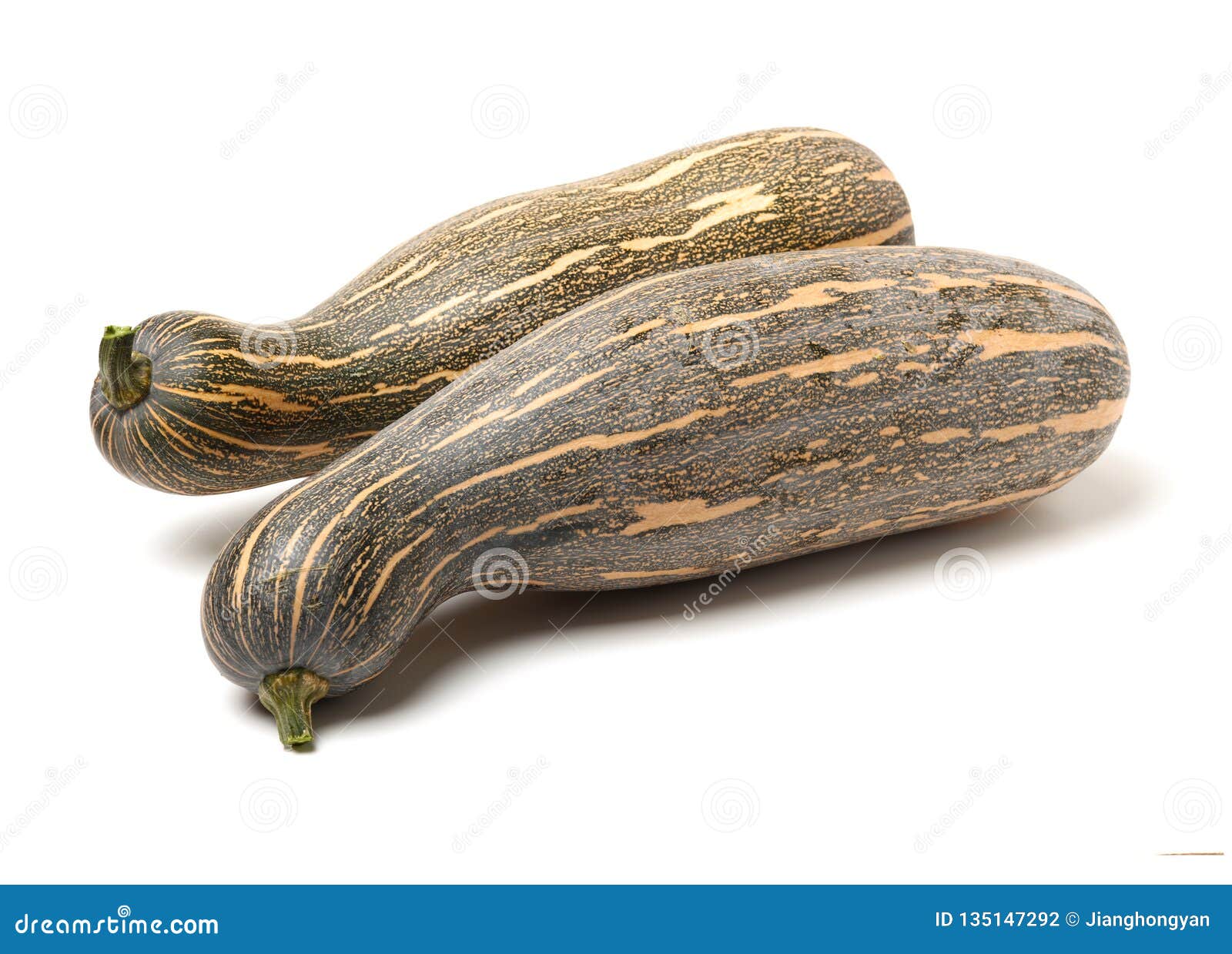 Orange long pumpkin stock photo. Image of orange, creepy - 135147292