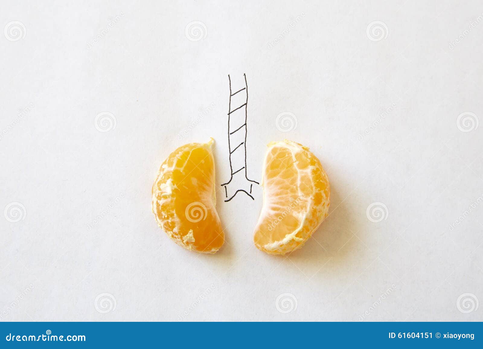 Orange in lung shape stock image. Image of fruit, background - 61604151