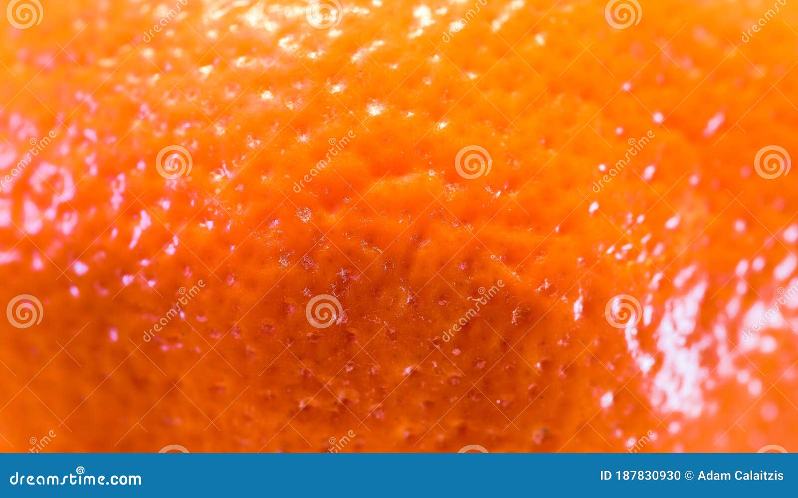 Orange Mandarin Skin stock photo. Image of ingredient - 187830930