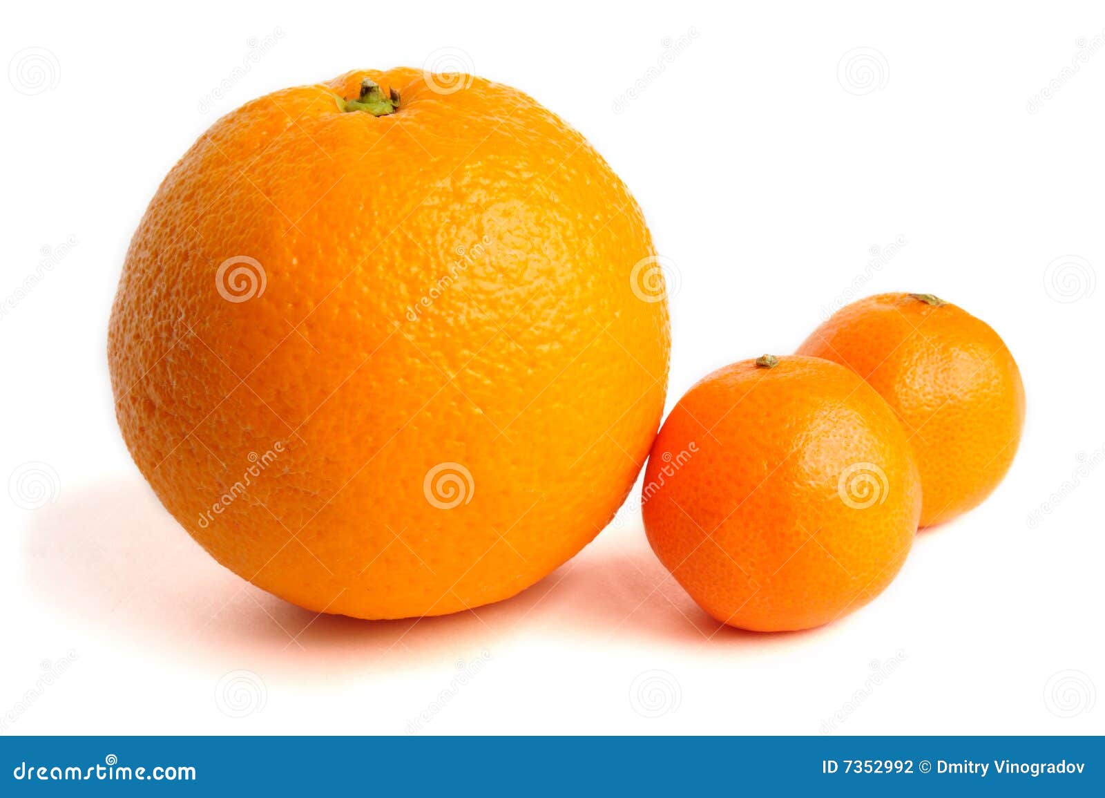Orange and mandarins stock photo. Image of healthy, tangerine - 7352992