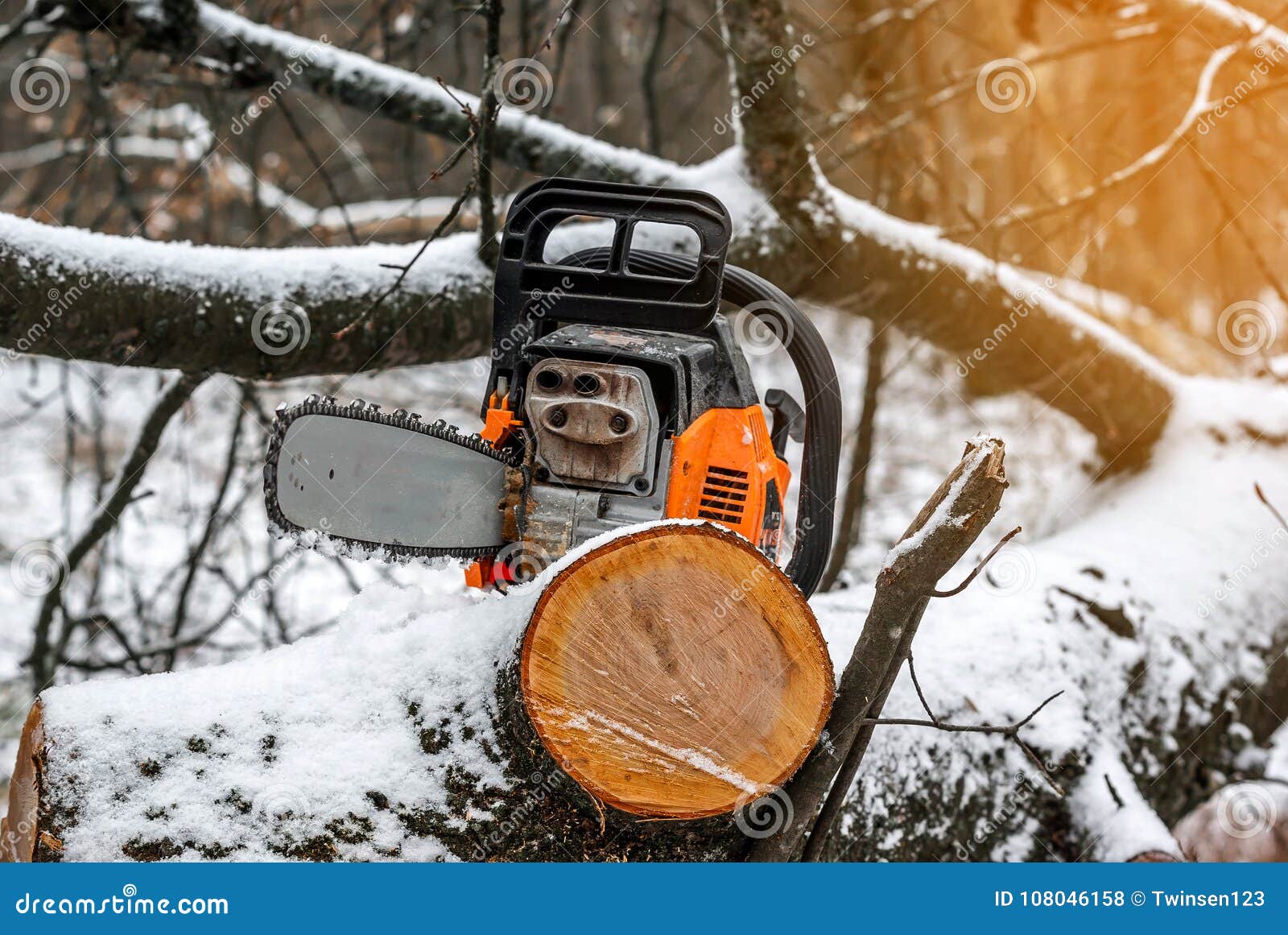 Manual Chainsaw. Man Hands, Saws A Tree In The Woods In Winter A ...