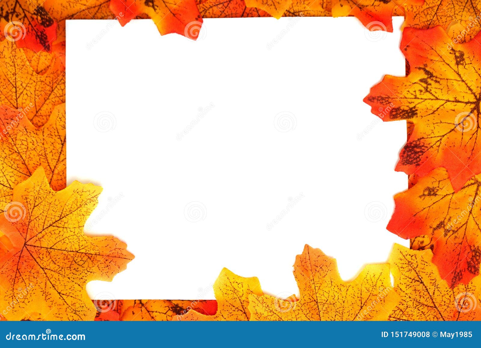 Orange Maple Autumn Leaf Border with Space on White Background Stock ...