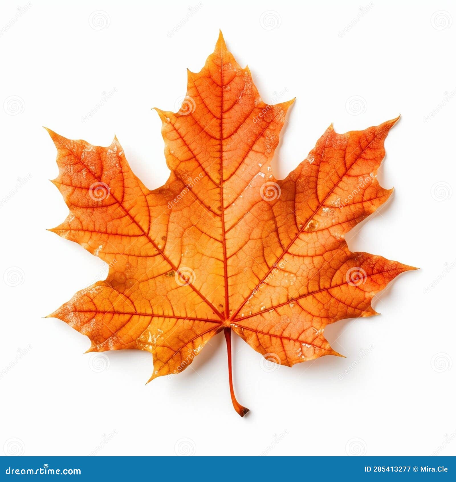 Orange Maple Leaf Isolated on White Background, Created with Generative ...