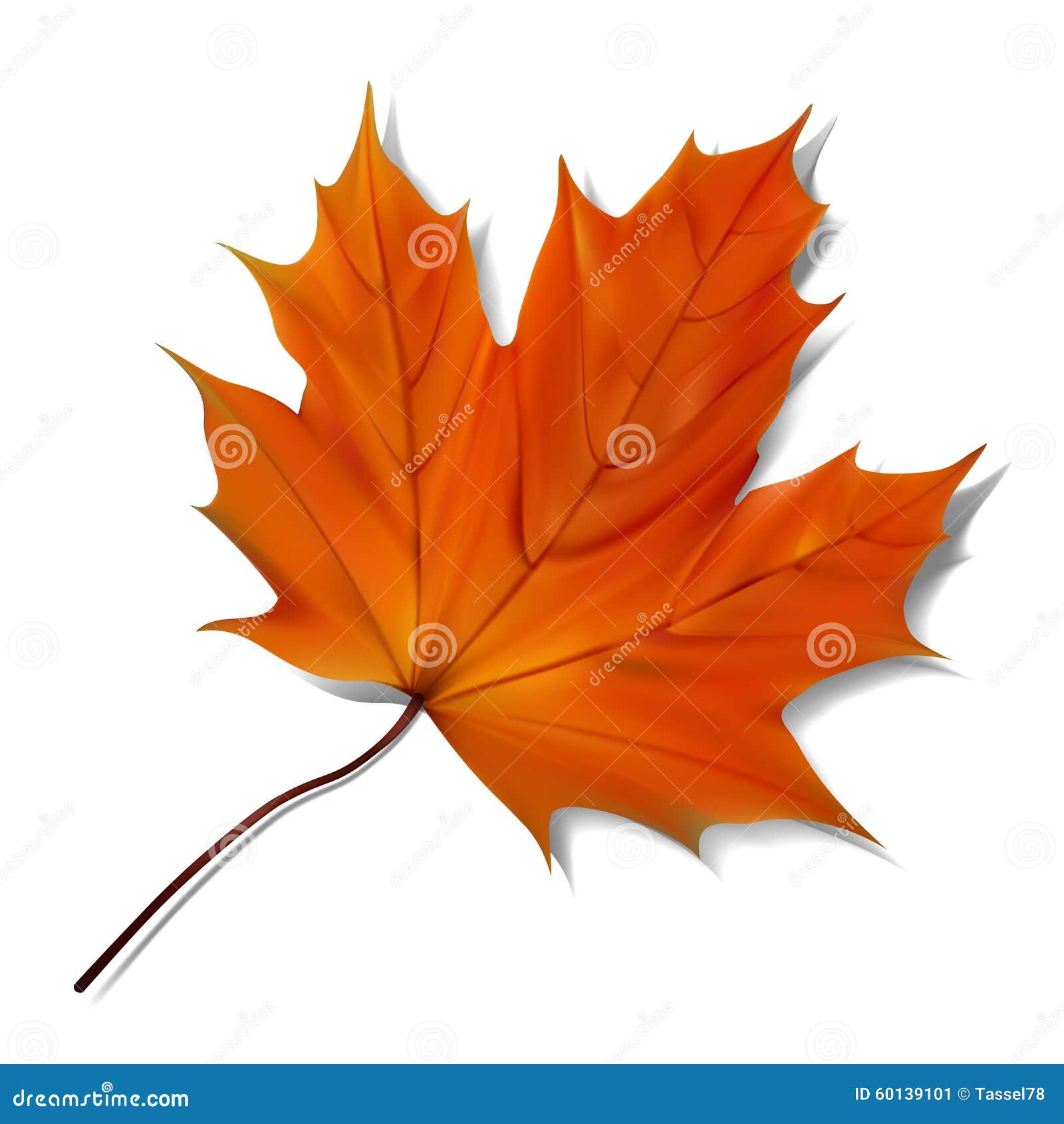 Orange Maple Leaves Seamless Pattern Cartoon Vector | CartoonDealer.com ...