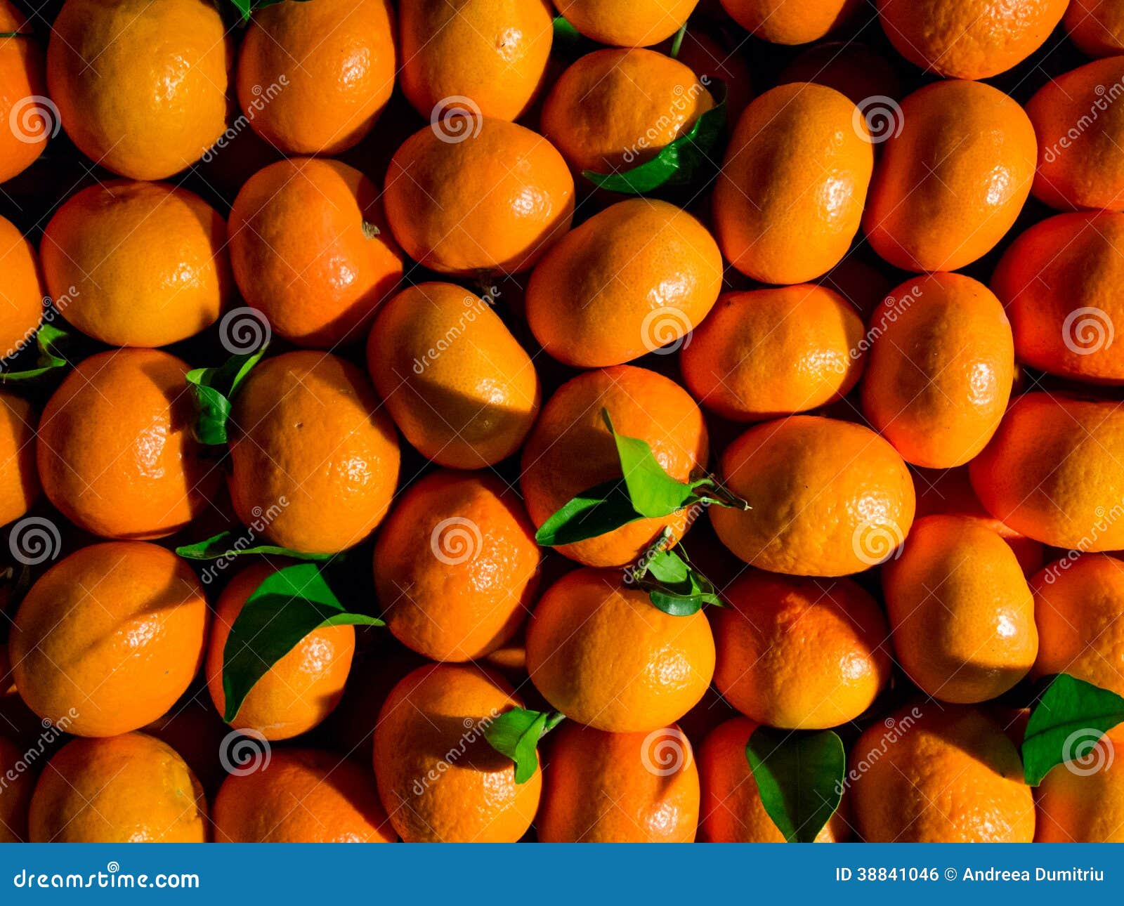 Orange Market stock photo. Image of kitchen, drink, background - 38841046