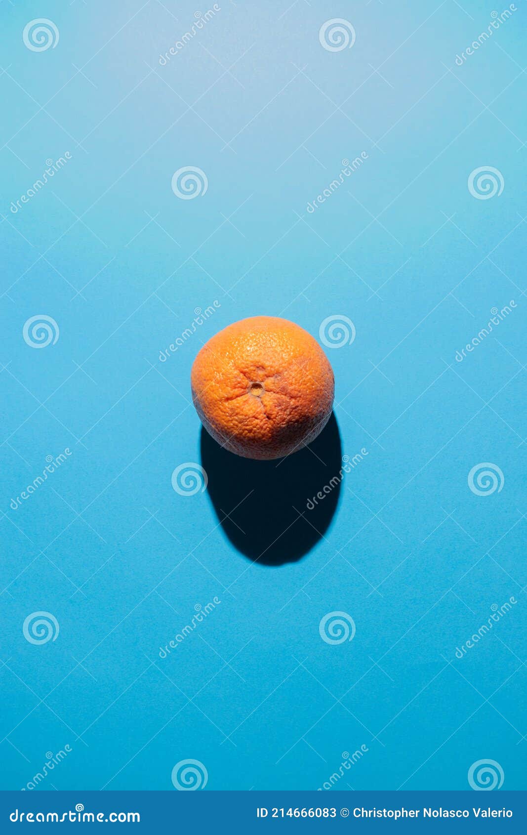 An orange in the middle stock image. Image of copy, collection - 214666083