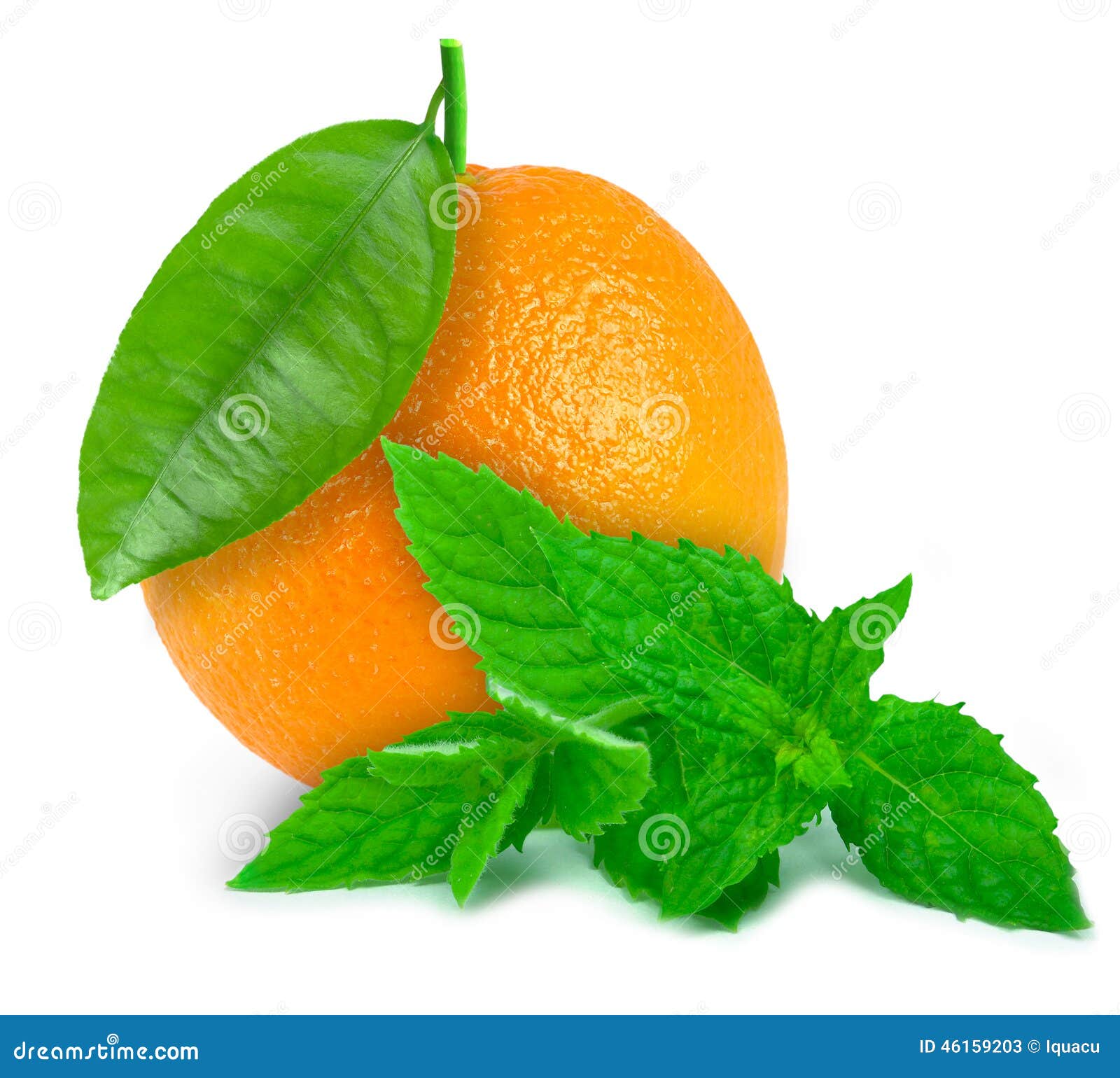 Orange and mint stock image. Image of closeup, plant - 46159203