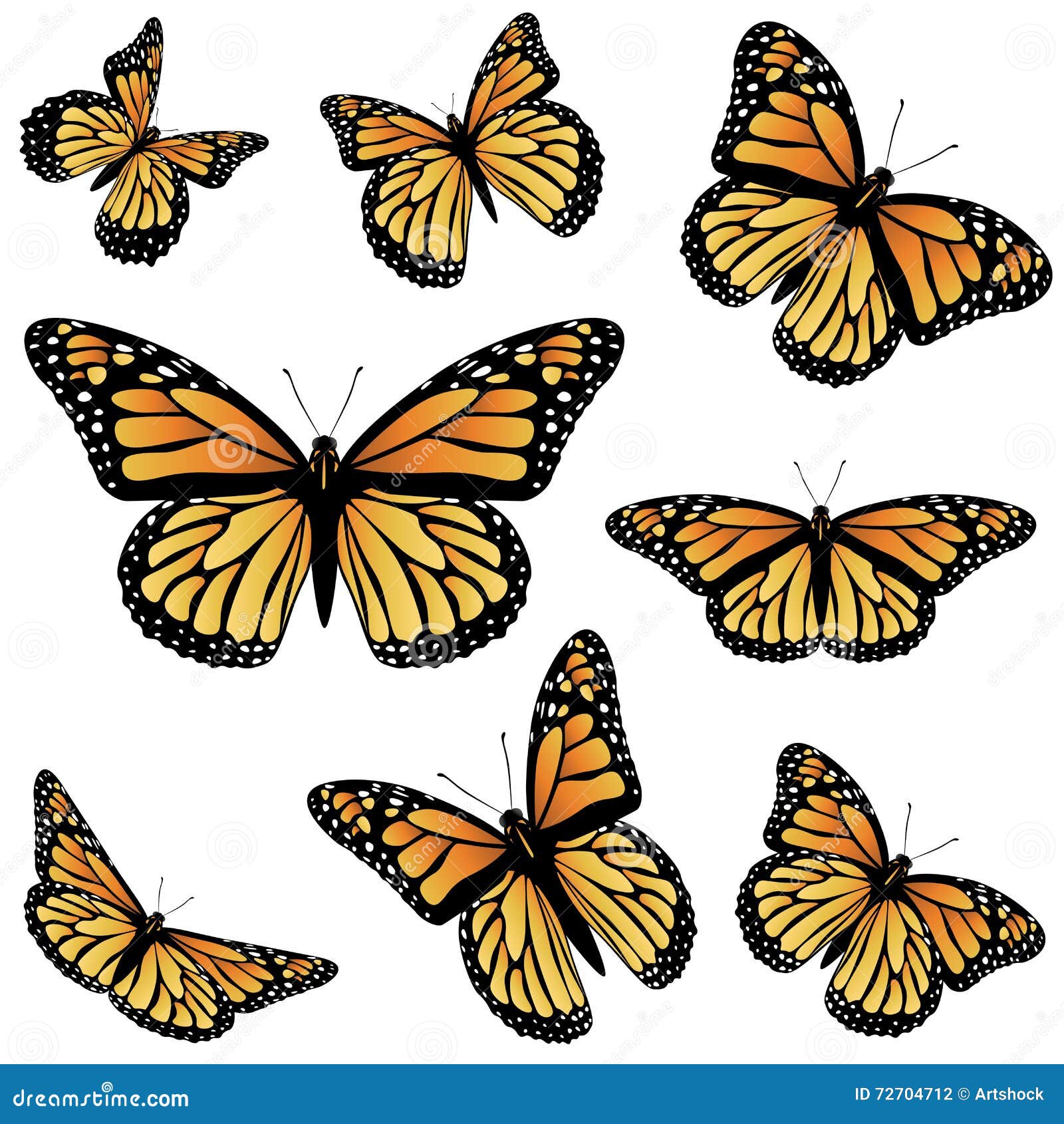 Monarch Butterfly Spreading Wings Top View Cartoon Vector ...