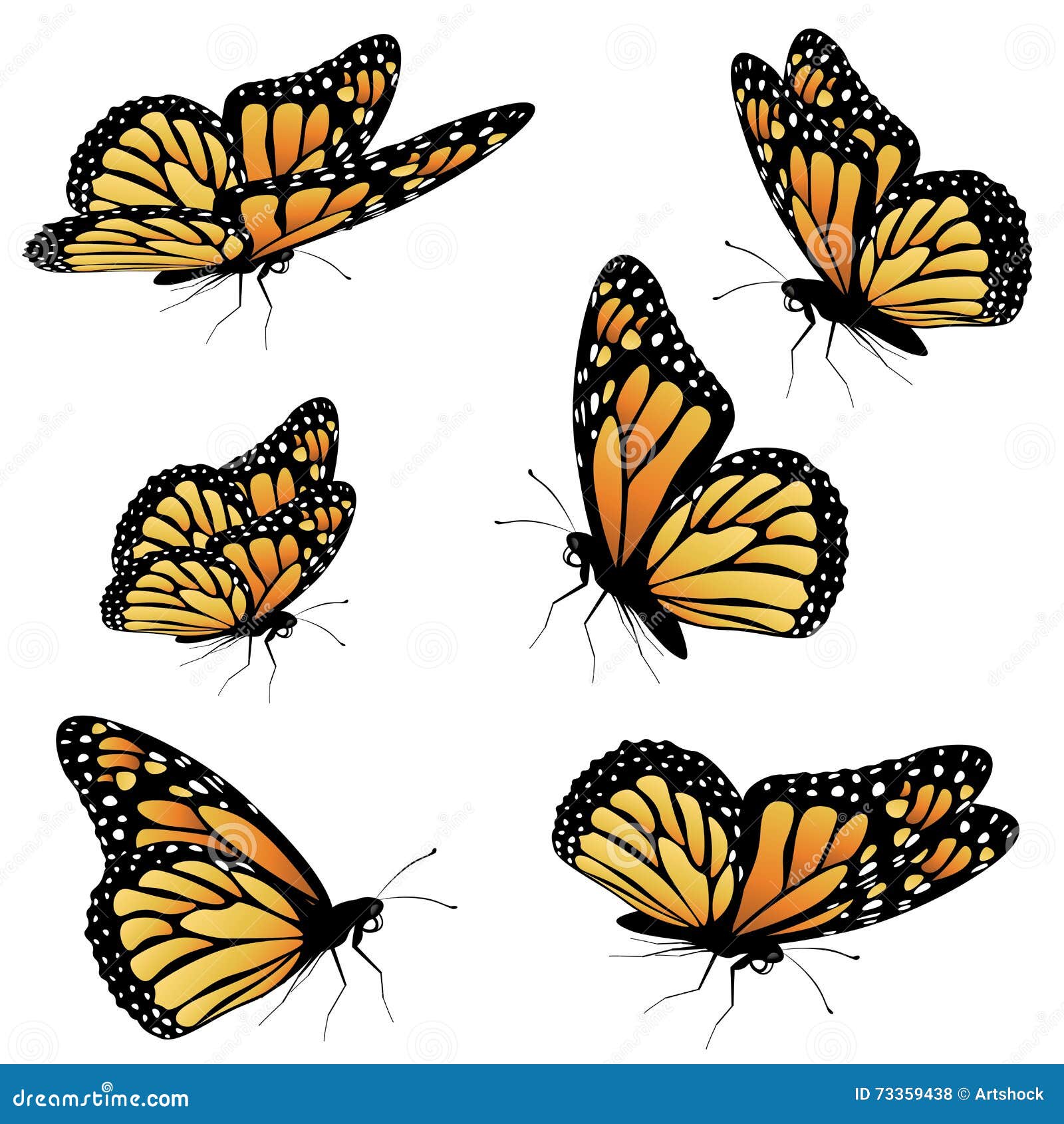 Monarch Butterfly Vector With Open Wings. Royalty-Free Illustration ...