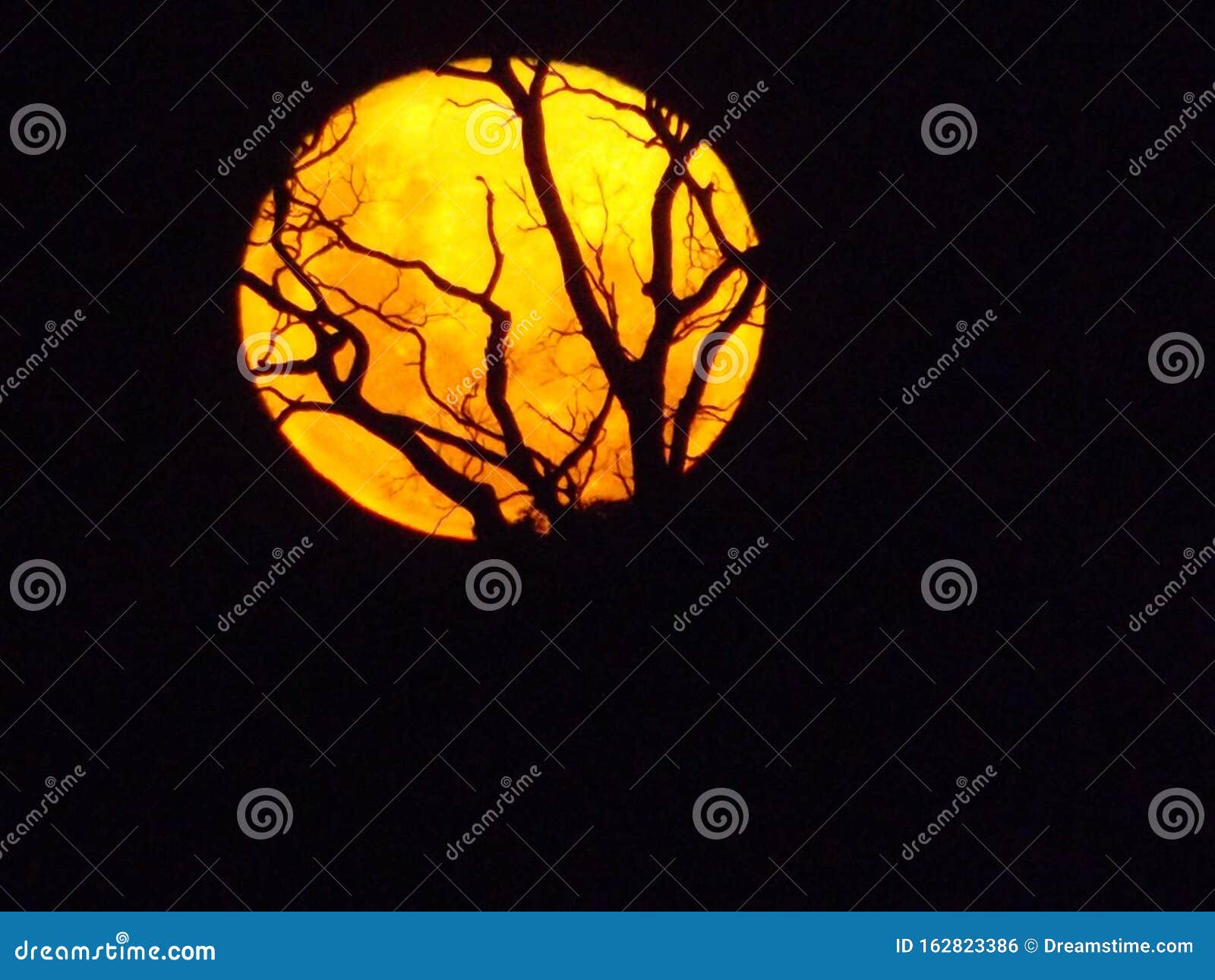 Orange moon stock photo. Image of night, orange, moon - 162823386
