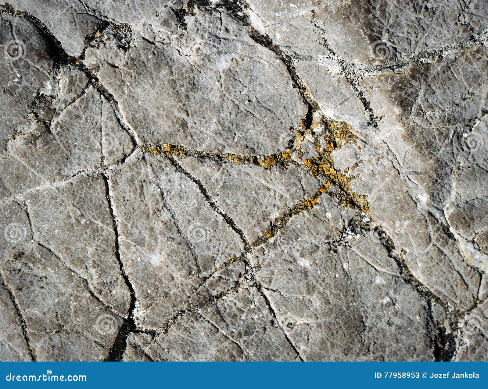Orange Moss Garden on the Limestone Rock Stock Image - Image of mineral ...