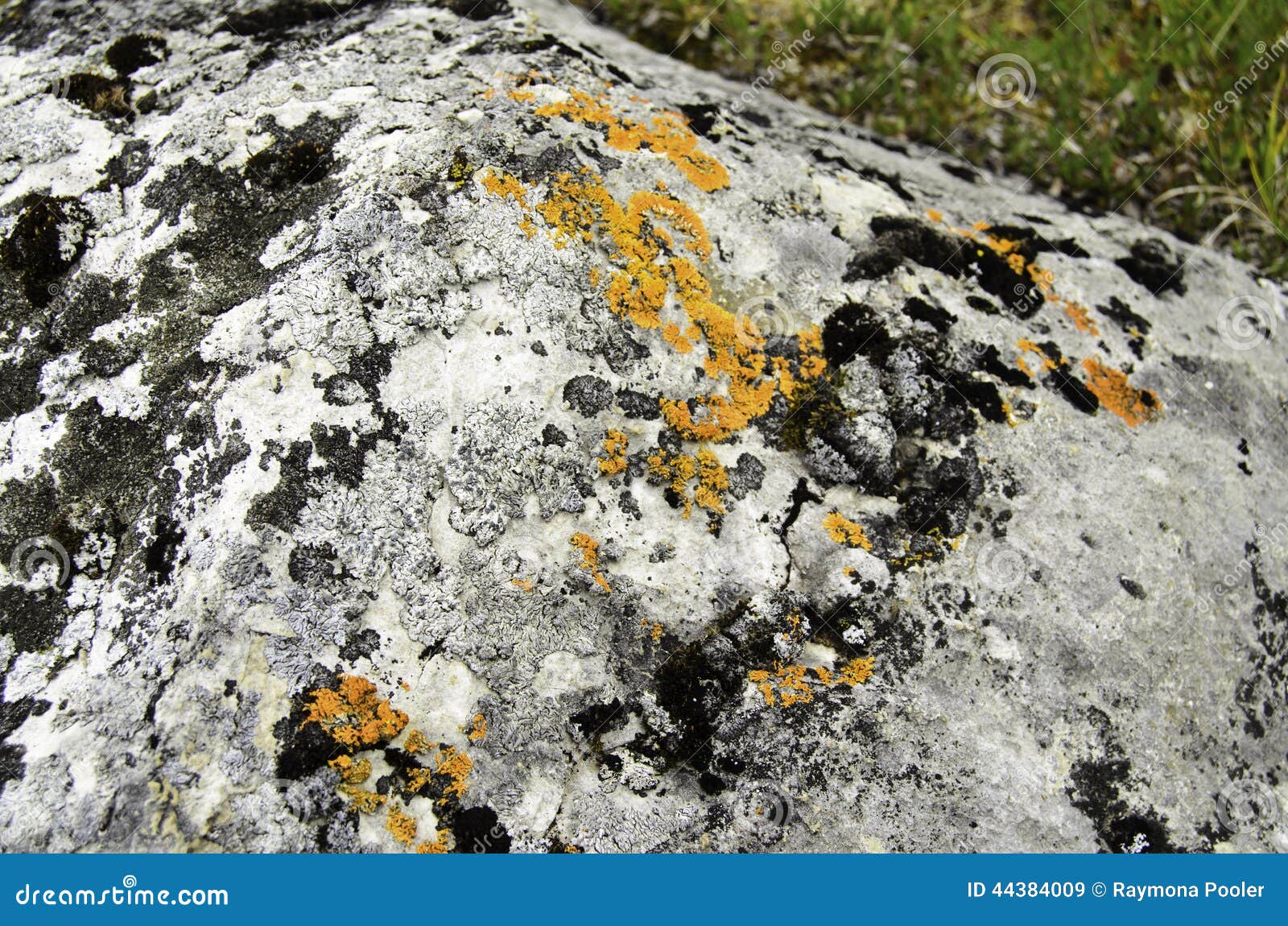 Orange mossy rock stock image. Image of growing, green - 44384009